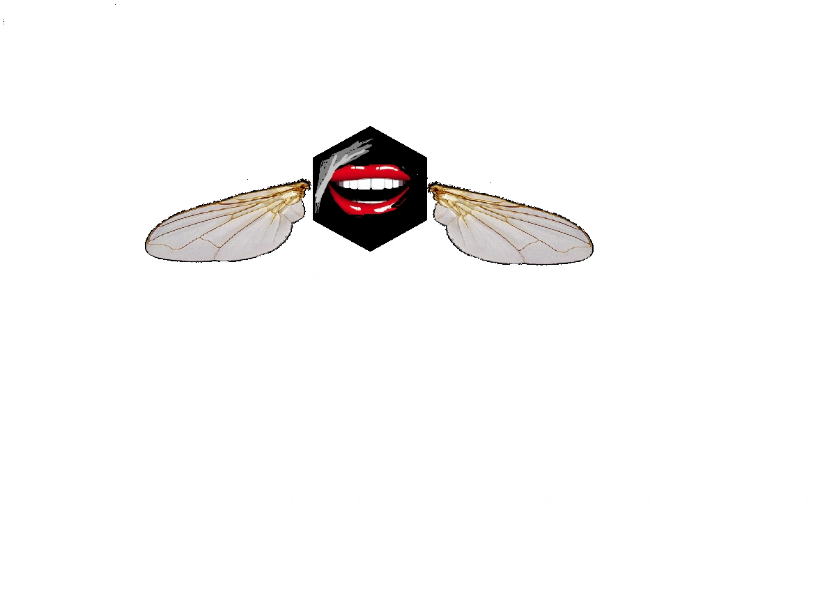 "FLY : ENTITY 001, CLASS PEACEFUL" | Alrooms Roblox Wiki | Fandom
