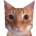 Poly Cat | Also An Object Show Wiki | Fandom