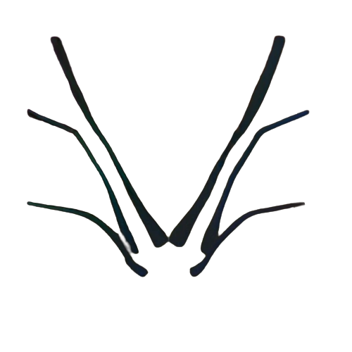 Medusa Arrows (Anime Last Stand) - Vaulted Values X