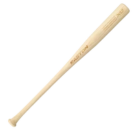 SCP Foundation | Alt Battles Wiki | Fandom