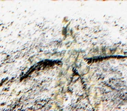 SCP-3125 | Alt Battles Wiki | Fandom