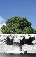 SCP Foundation | Alt Battles Wiki | Fandom