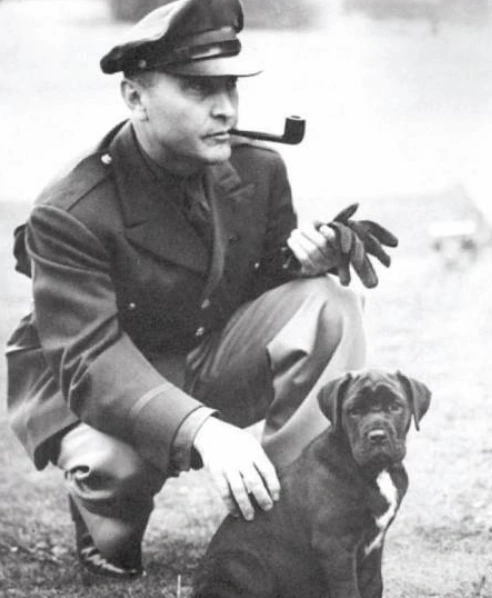 Agent Strelnikov | Alt Battles Wiki | Fandom