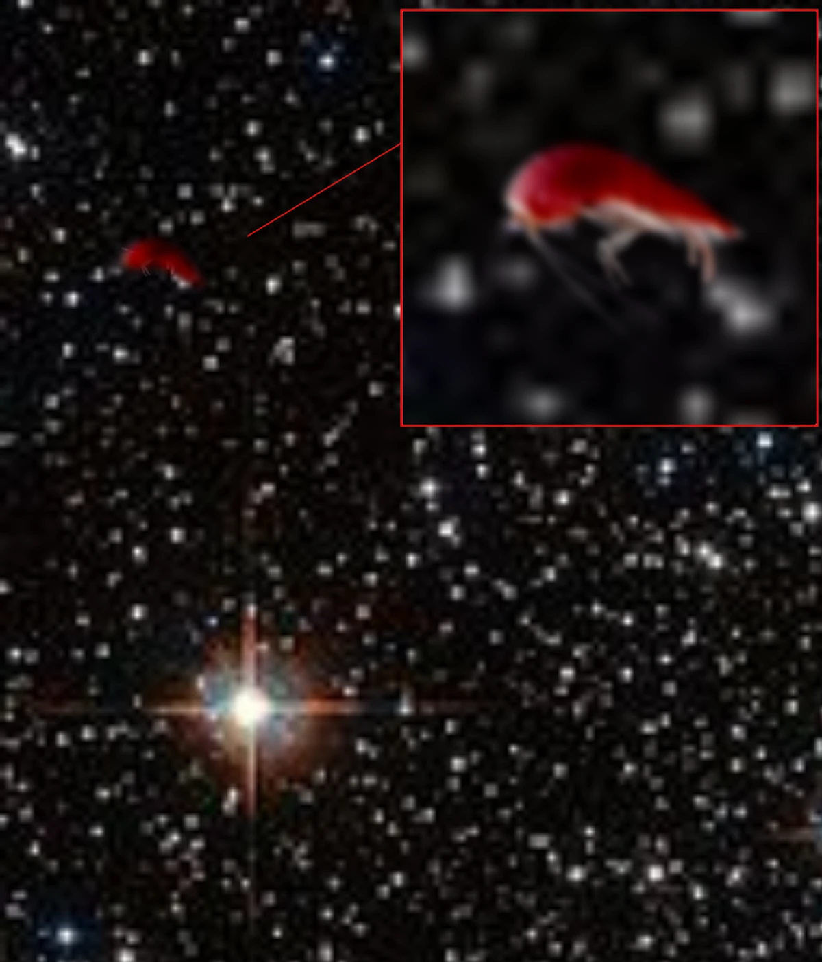 SCP-5909 | Alt Battles Wiki | Fandom