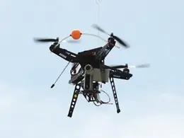 SCP Foundation | Alt Battles Wiki | Fandom