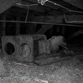 SCP Foundation | Alt Battles Wiki | Fandom