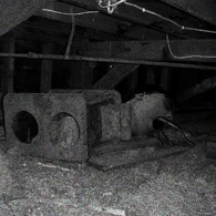 SCP Foundation | Alt Battles Wiki | Fandom