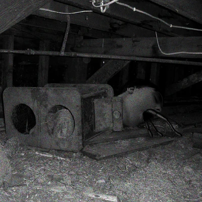 SCP-7898 | Alt Battles Wiki | Fandom