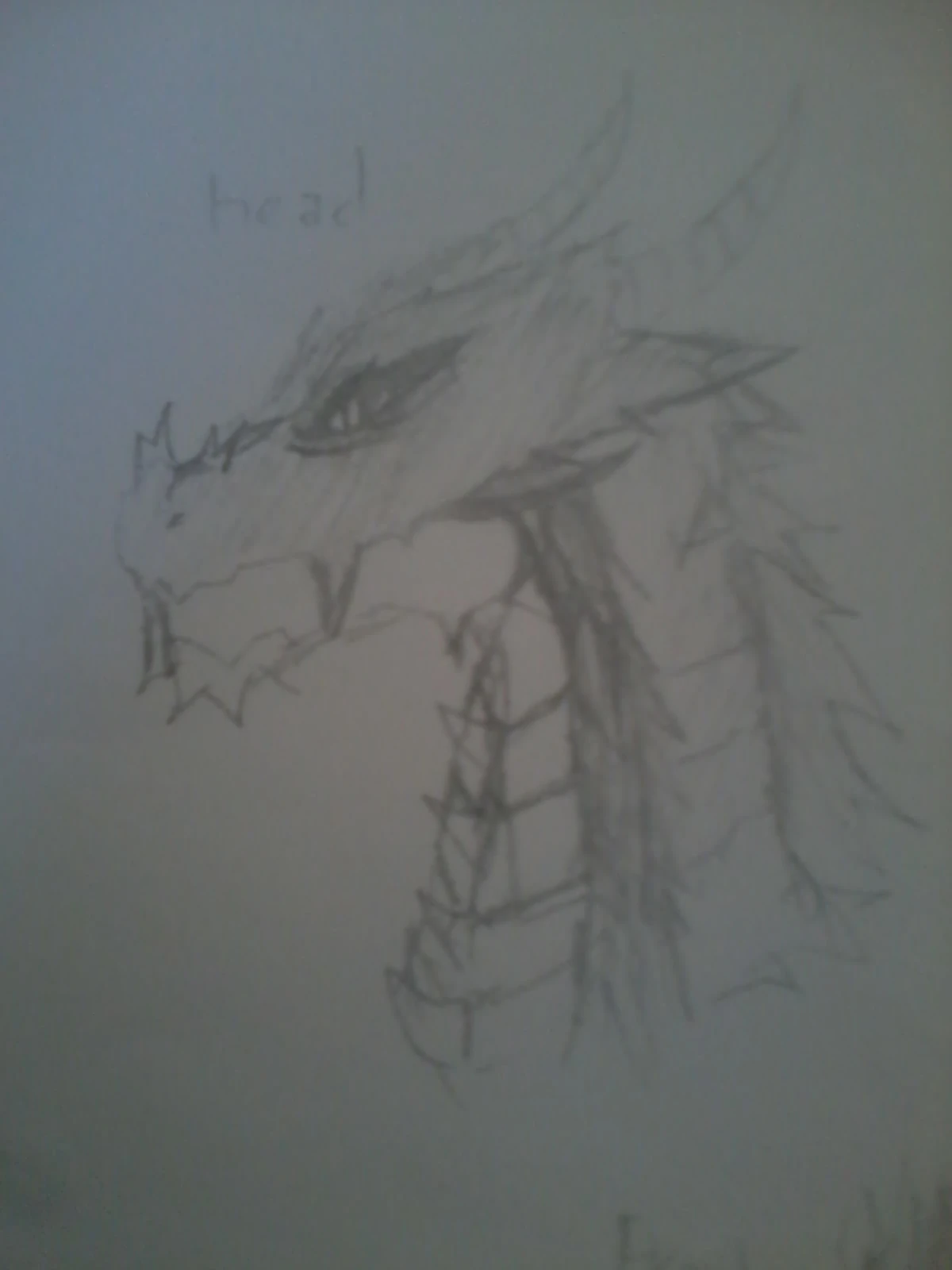 Doom Dragon | Alter: The Guardians of The Skyline Wiki | Fandom