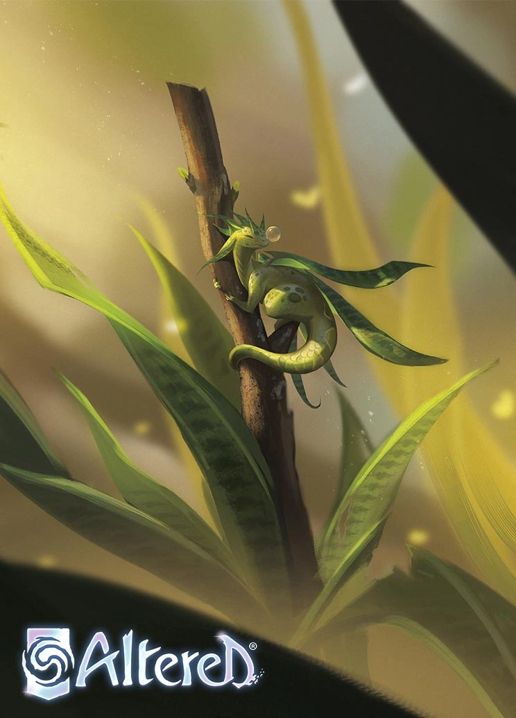 Dracaena | Wiki Altered TCG Wiki FR | Fandom