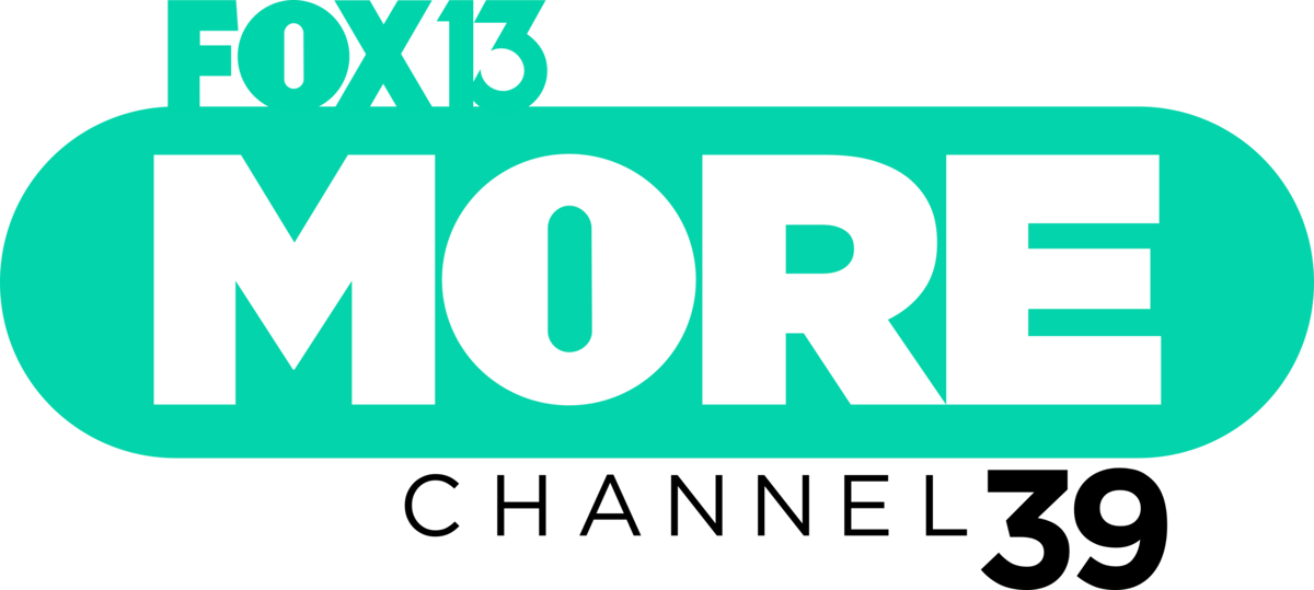 WSNN-LD (JHughesTV's vision) | Alternate Universes Wiki | Fandom