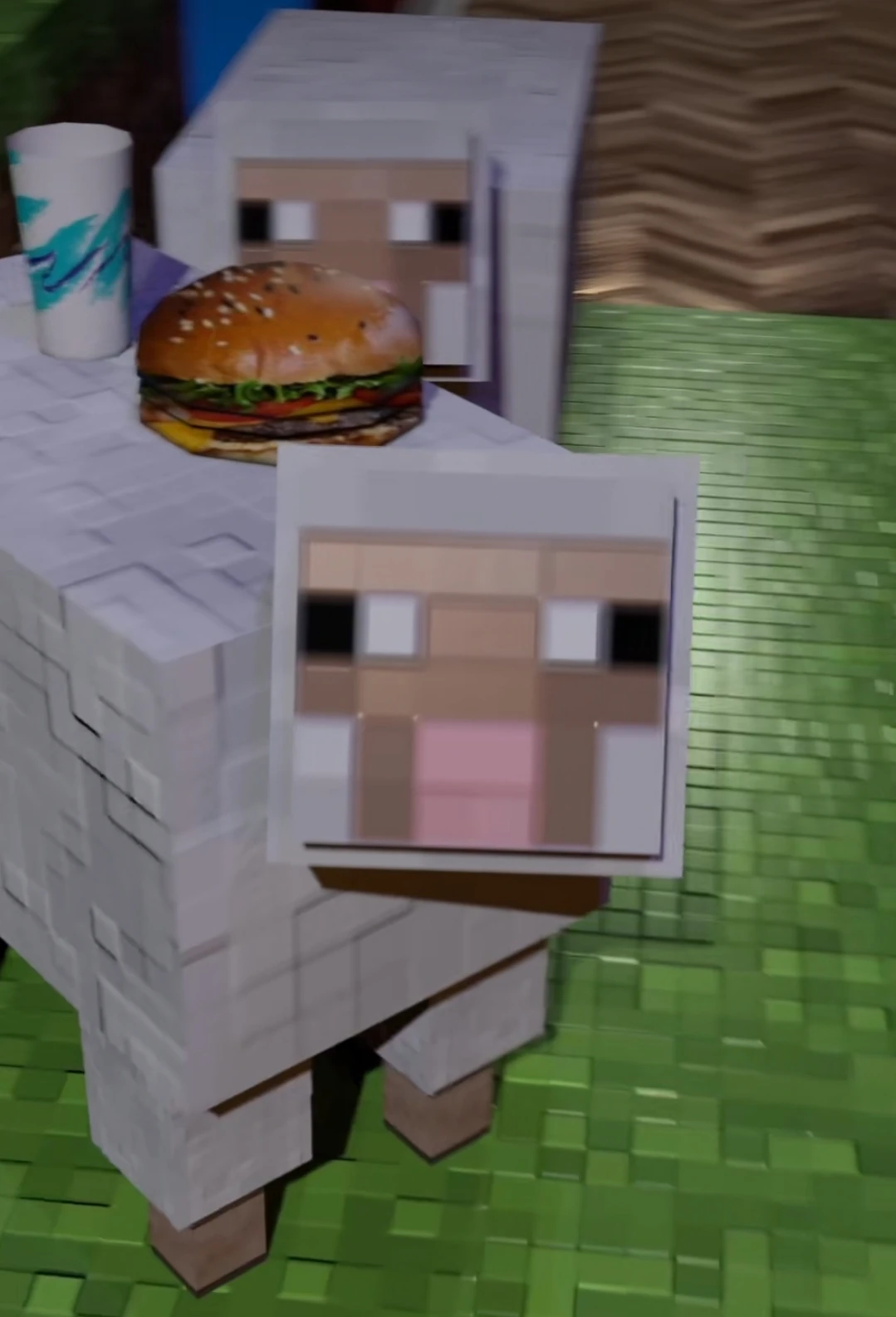 Minecraft Sheep | AlternateBazaarArt Wiki | Fandom