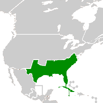 Confederate States (Jake1234789) | Alternative World Wiki | Fandom