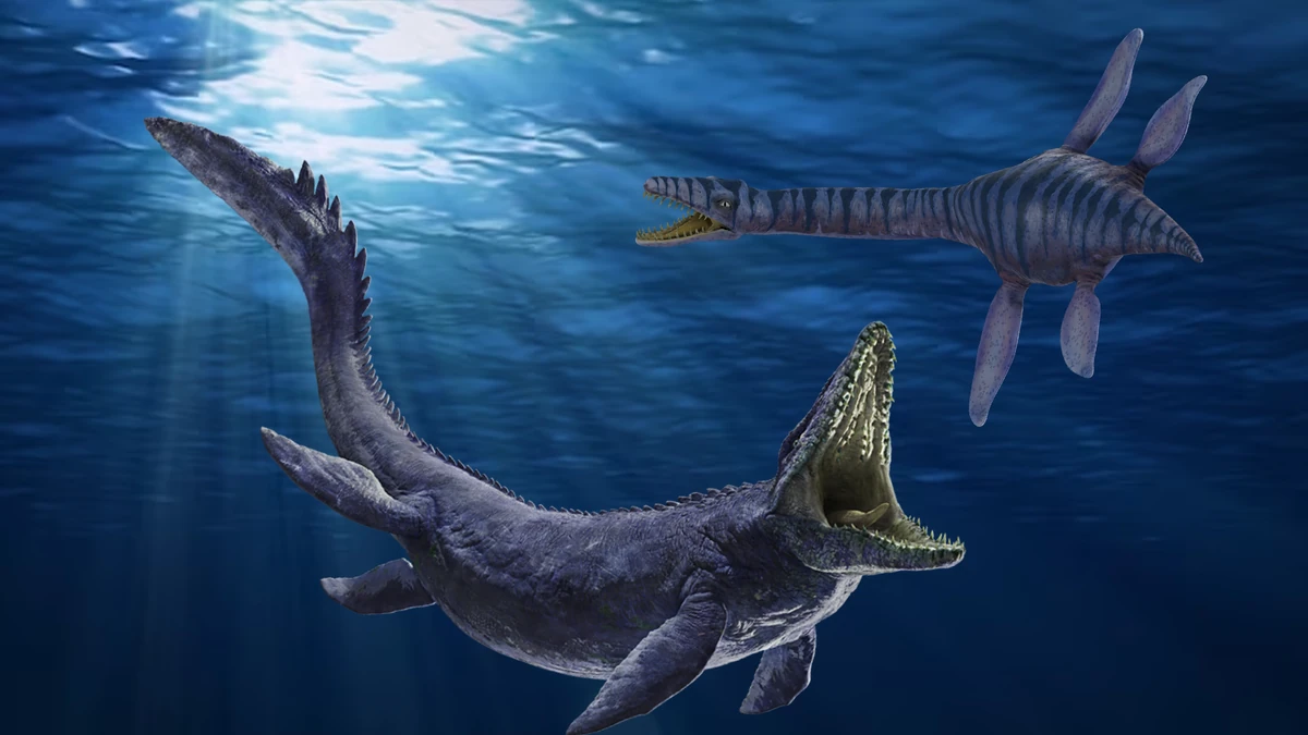 Water Sect | Alterum Wiki | Fandom