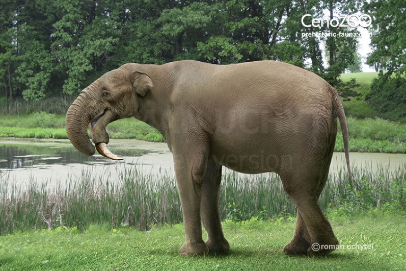 Curvetusk Parallelity Of Parallelities Alternative History Fandom