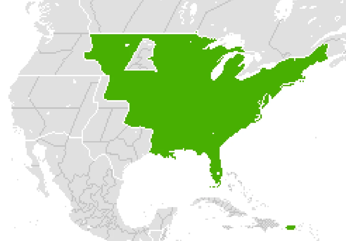 United States (Untitled) | Alternative History | Fandom