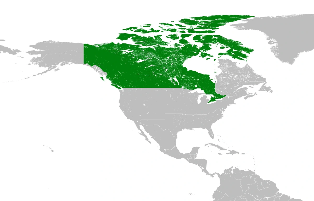 Canada (Rewritten) | Alternative History | Fandom