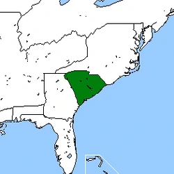 Cherokee Confederacy (Parallelity of Parallelities) | Alternative ...