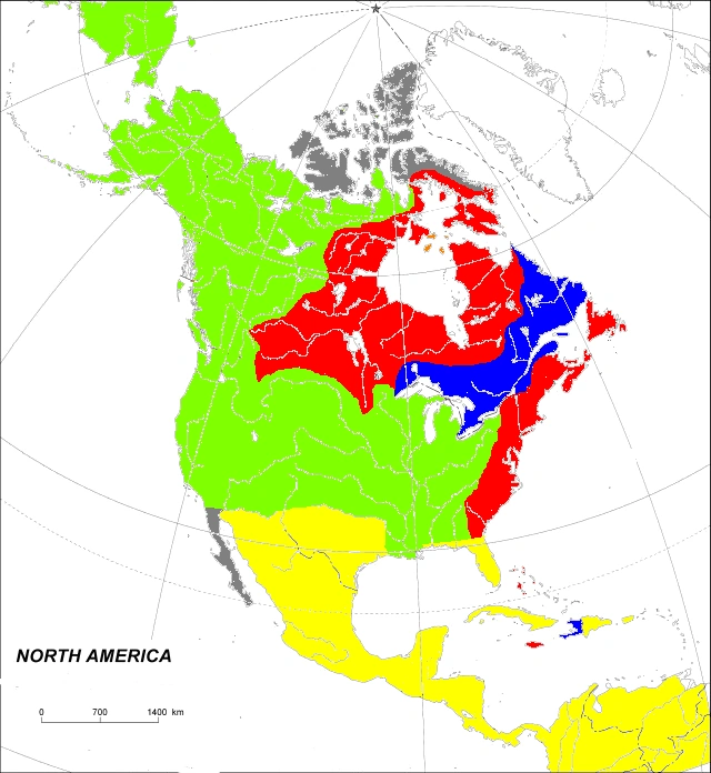 North America 1752 (Toyotomi) | Alternative History | Fandom