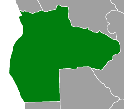 Ndongo (An Honorable Retelling) | Alternative History | Fandom