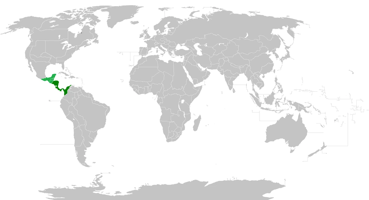 FRCA (Immune Americas) | Alternative History | Fandom