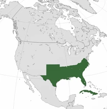 Confederate States (Rise of Nations) | Alternative History | Fandom