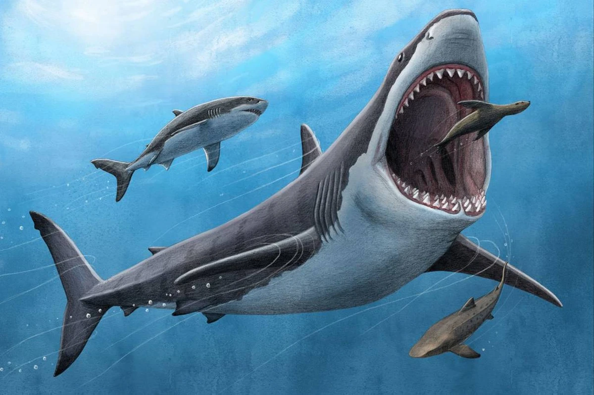 Megalodon (TOH) | Alternative History | Fandom