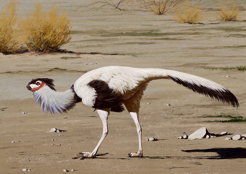 Featherstrider Parallelity Of Parallelities Alternative History