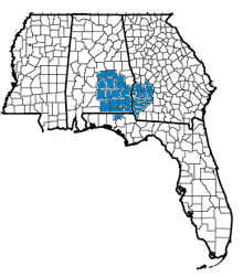 New Dixie (Great Nuclear War) | Alternative History | Fandom