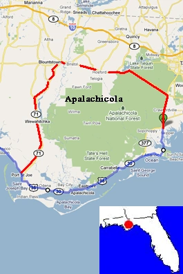 Apalachicola National Forest Map