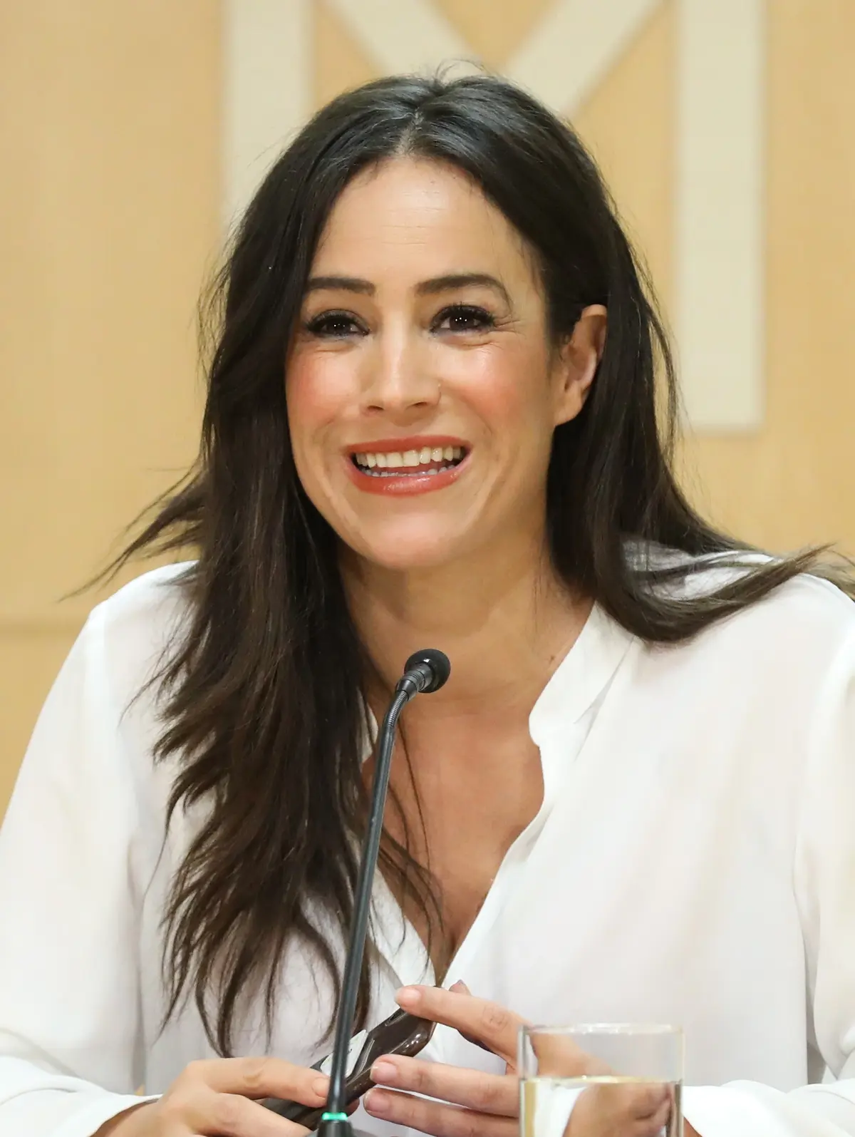 2019 Leonese General Elections (Regnum Legionense) | Alternative ...