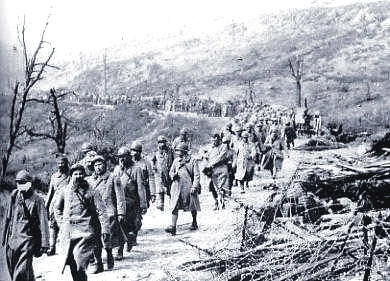 Alpine War (No Great War) | Alternative History | Fandom