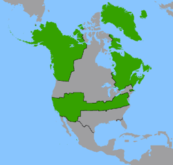 Federation of America (Gallic Rooster) | Alternative History | Fandom