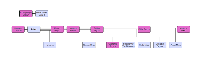 Mughal Dynasty (Ninety-Five Theses Map Game) | Alternative History | Fandom