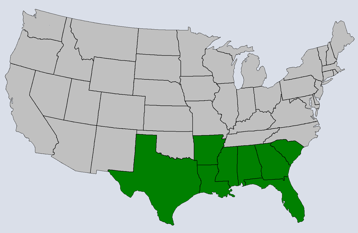 Deep South (Dixieland) | Historia Alternativa | Fandom