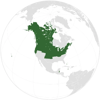 United States (Springtime of Nations) | Alternative History | Fandom