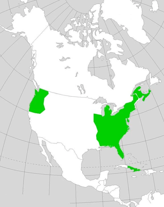 United States of America (Napoleon's America) | Alternative History ...