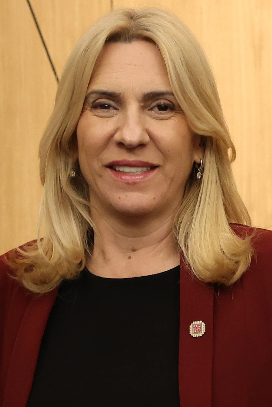 Željka Cvijanović (Better World) | Alternative History | Fandom