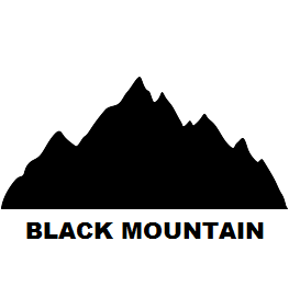 Black Mountain Security Services (Temporal Incursion 1918 ...