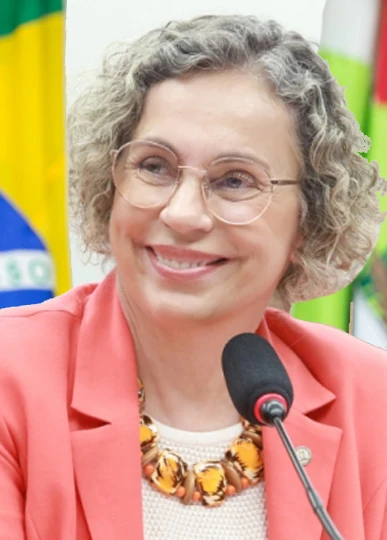 2022 Santa Catarina gubernatorial Election (President Clark) | Alternative History | Fandom