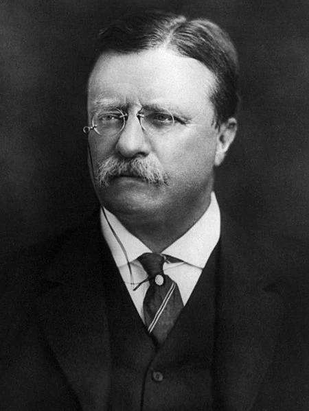 1912 United States Presidential Election (Roosevelt Defeats Taft ...