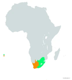 Cape Republic (CMC-1962) | Alternative History | Fandom