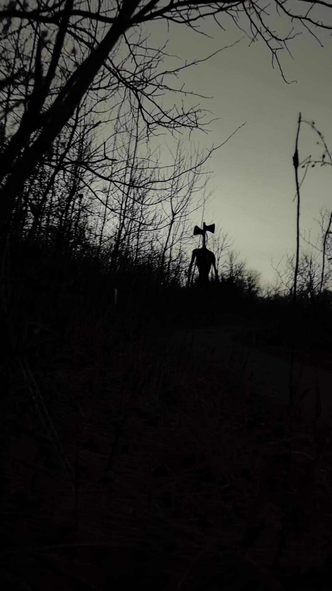 Siren Head (Greyhorn's Shenanigans) | Alternative History | Fandom