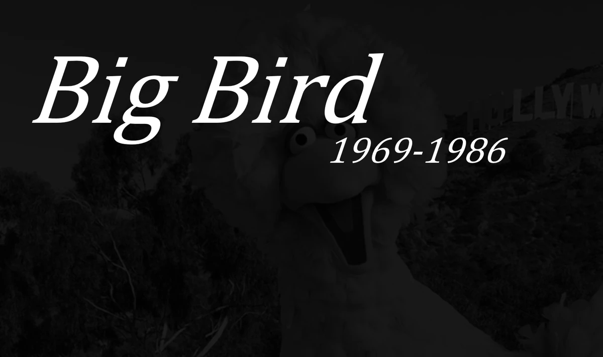 Goodbye Big Bird | Alternative History | Fandom