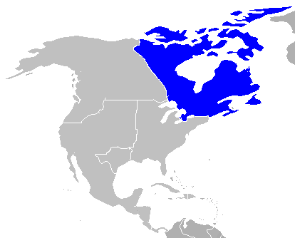 Dominion of Canada (American Commonwealth) | Alternative History | Fandom