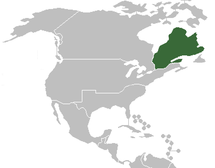 Quebec (Differently) | Alternative History | Fandom