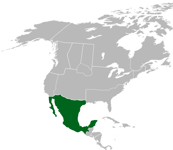 Mexico (A World Upside Down) | Alternative History | Fandom