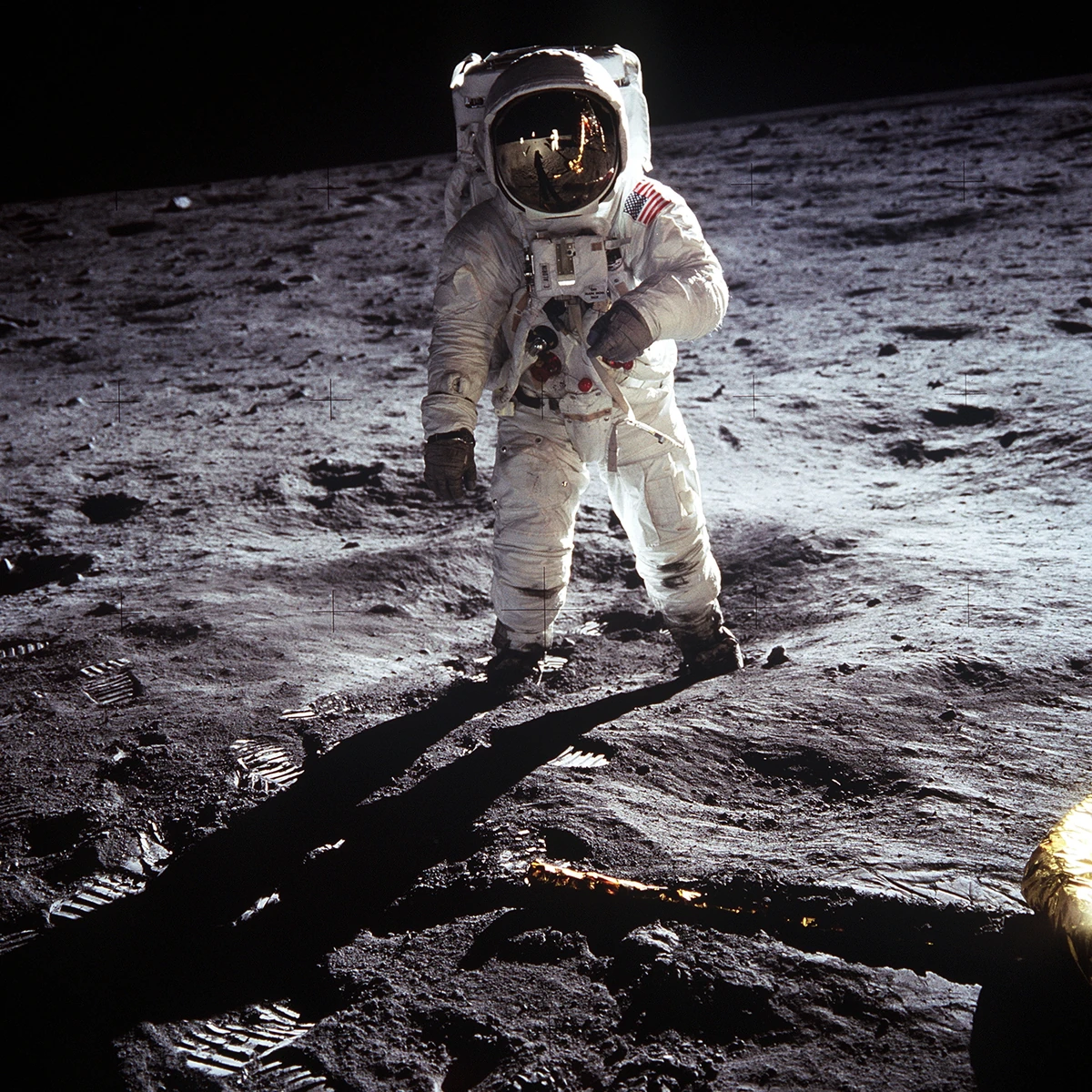 Apollo 11 Landings (Victory At The West) | Alternative History | Fandom
