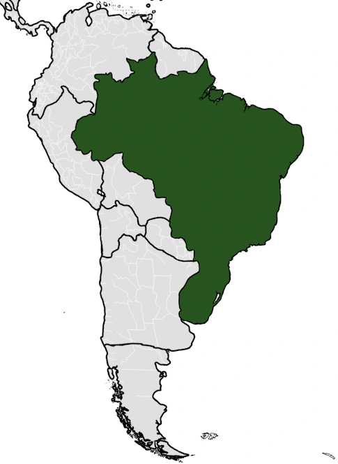 Brazil (Sino-Soviet Split Never Happened) | Alternative History | Fandom
