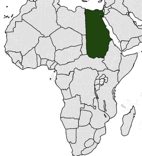 Egypt (Sino-Soviet Split Never Happened) | Alternative History | Fandom